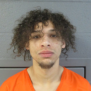 Elkins firearm incident leads to 4 felony charges | News, Sports, Jobs ...